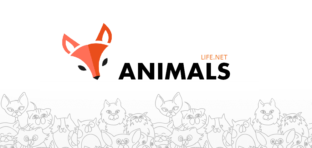 New Version of Animals Life NET has been launched - Animals Life ...