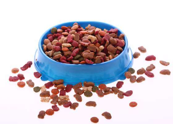 korm - Animals Life - Donate, Support